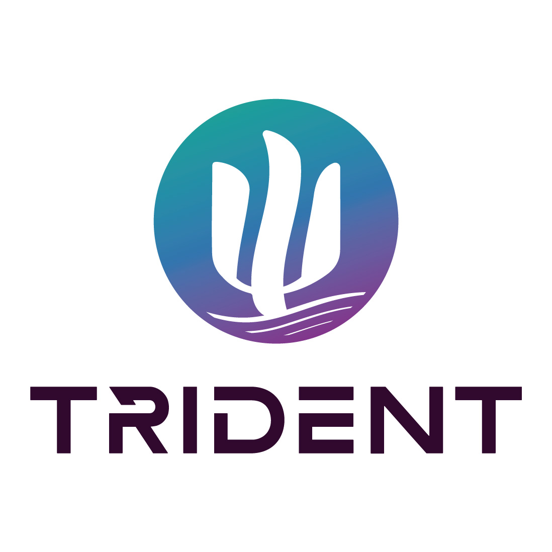 TRIDENT – La Palma Research Centre